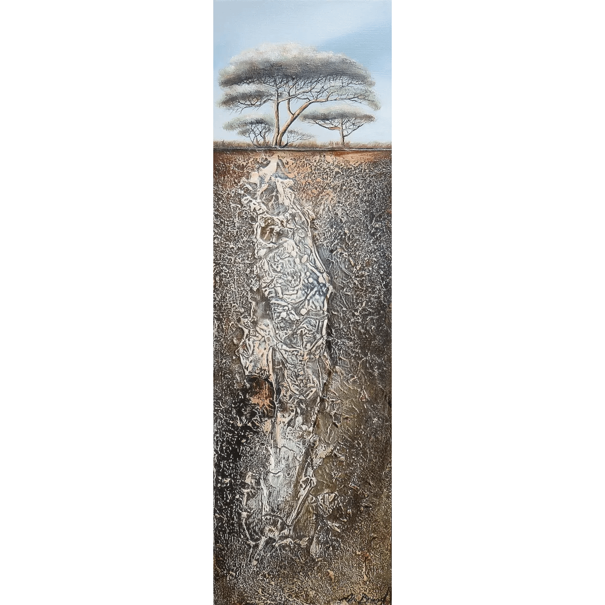 Winter Doringboom - Robertson Art Gallery